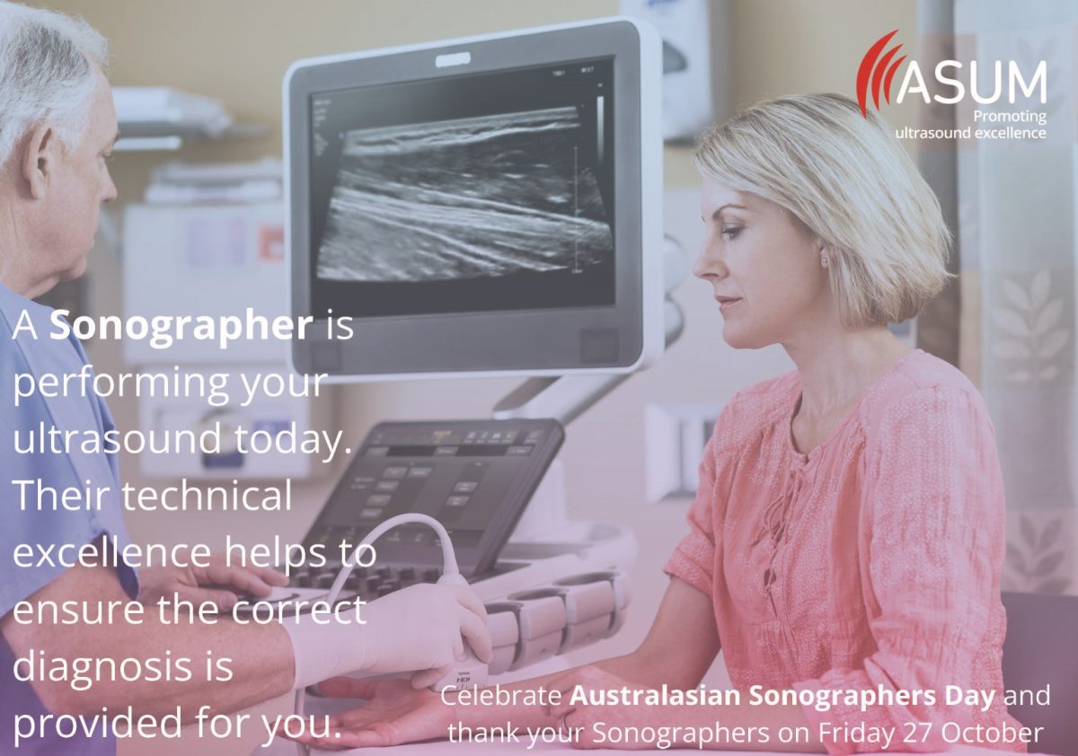 ASUM Campaign Posters